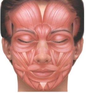 The REAL skinny on Botox: your questions on Botox safety, pricing and ...